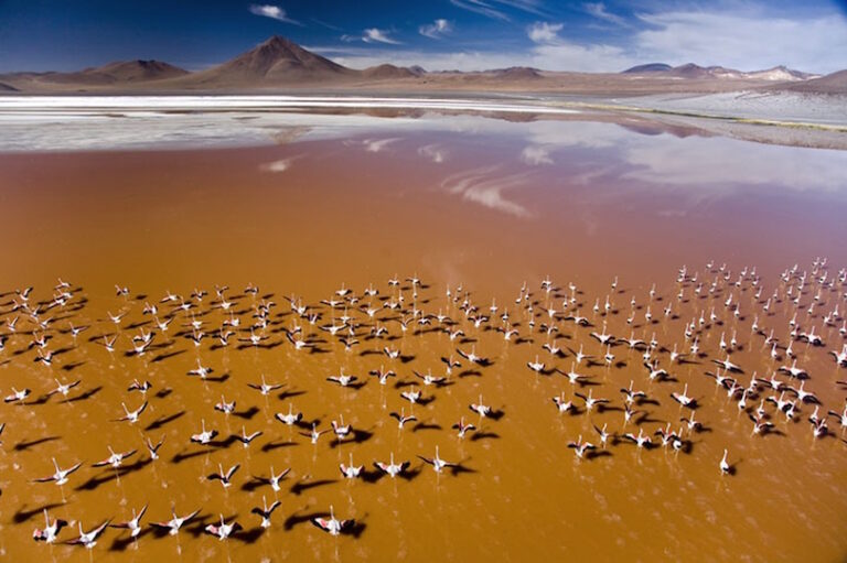The 10 Most Colorful Lakes in the World (+Photos) - Touropia