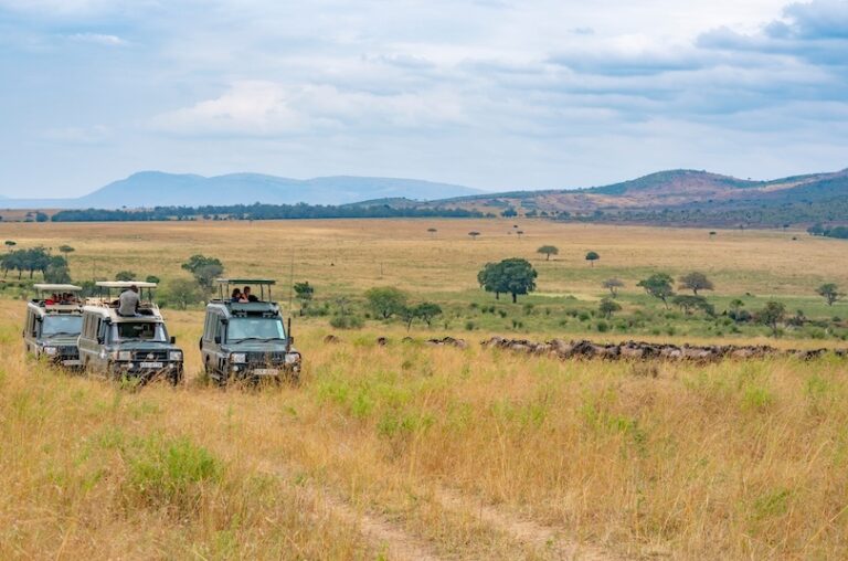 17 Must-See Attractions in Kenya (+Map) - Touropia
