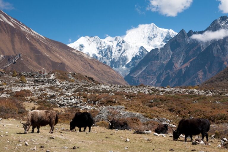 These National Parks Prove Nepal Is One of the World’s Great Nature ...