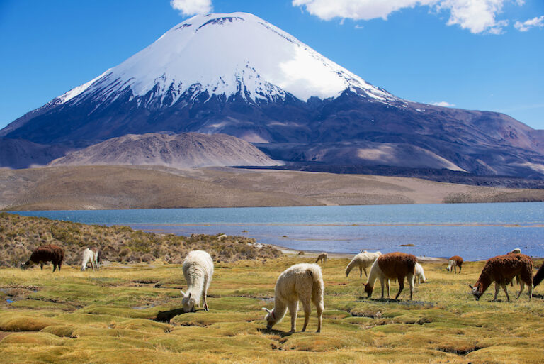 Why Chile’s National Parks Are Every Traveler’s Dream (+Map) - Touropia