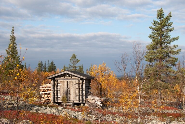 Why Finland National Parks Are the Ultimate Escape From Everything ...