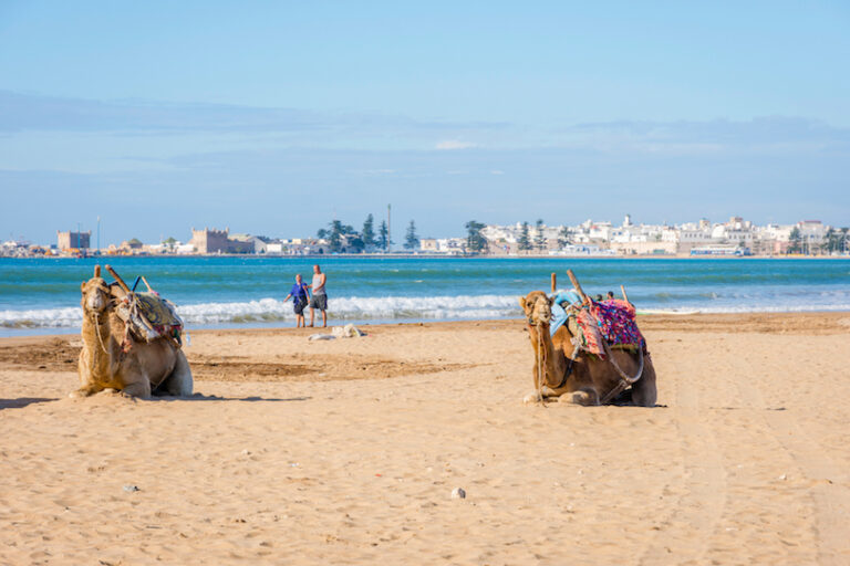 10 Most Beautiful Beaches in Morocco (+Photos) - Touropia
