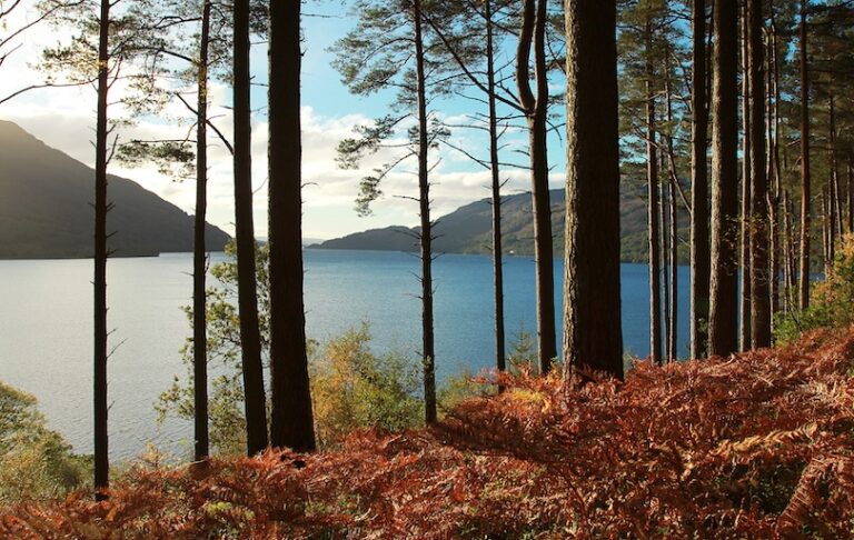 These Scotland National Parks Are Made for Epic Views and Easy ...