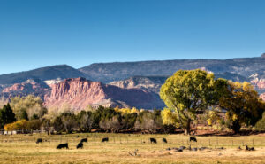 12 Most Charming Towns and Villages in Utah (+Photos) - Touropia