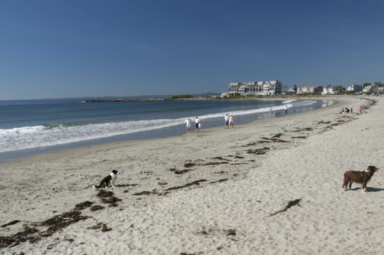 12 Maine Beaches You’ll Want to Visit This Summer (+Map) - Touropia