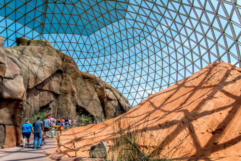 25 Top Rated Zoos in the U.S (+Photos) - Touropia