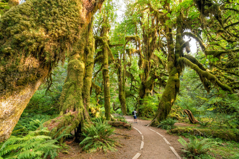 27 Must-See Attractions in Washington State (+Map) - Touropia