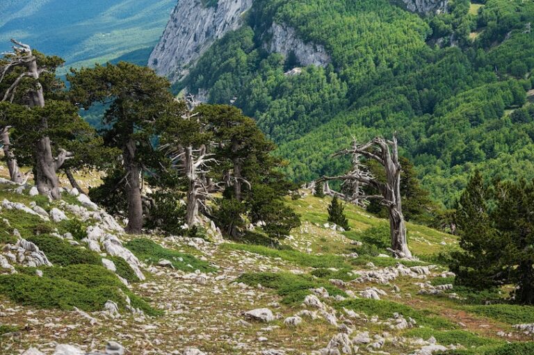 What To See & Do in Basilicata, Italy (+Map) - Touropia