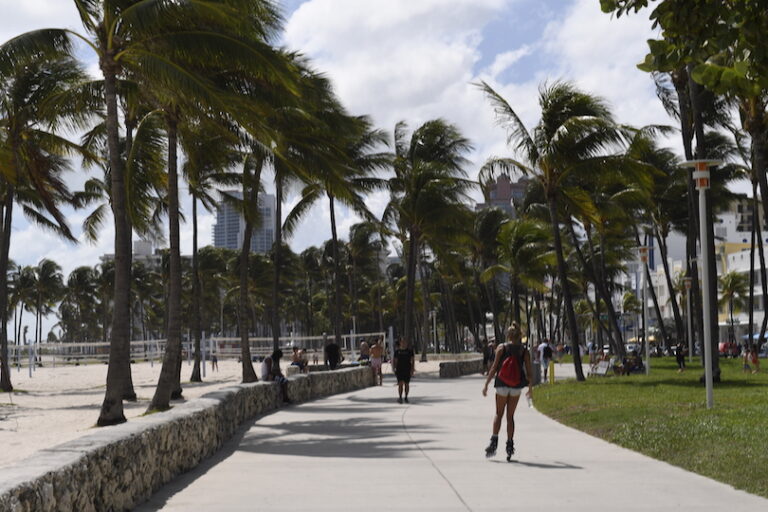 The Best Time to Visit Miami for Perfect Weather and Sightseeing ...