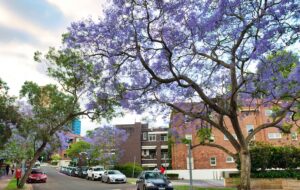 The Best Time to Visit Sydney for Perfect Weather and Sightseeing ...