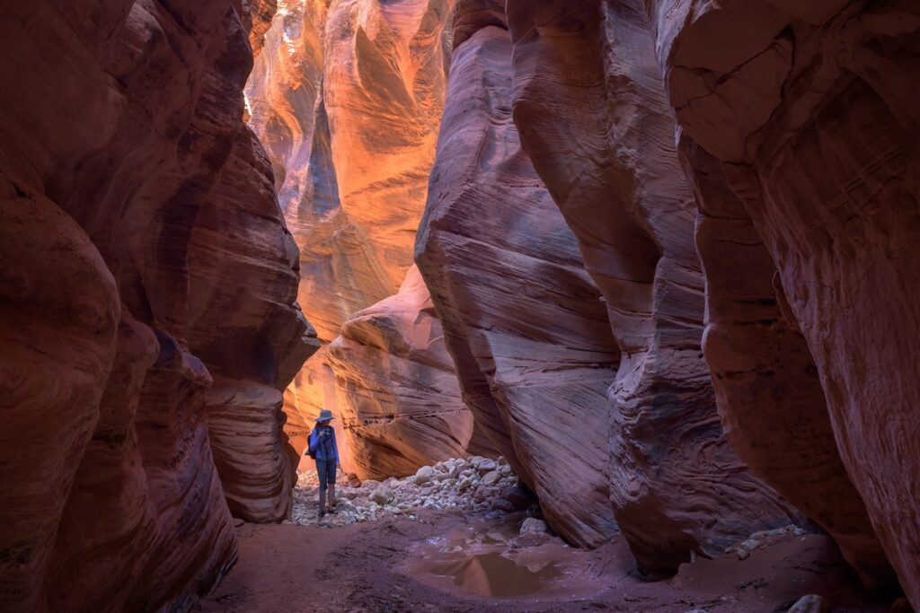 17 Most Beautiful Canyons in the USA (+Photos) - Touropia