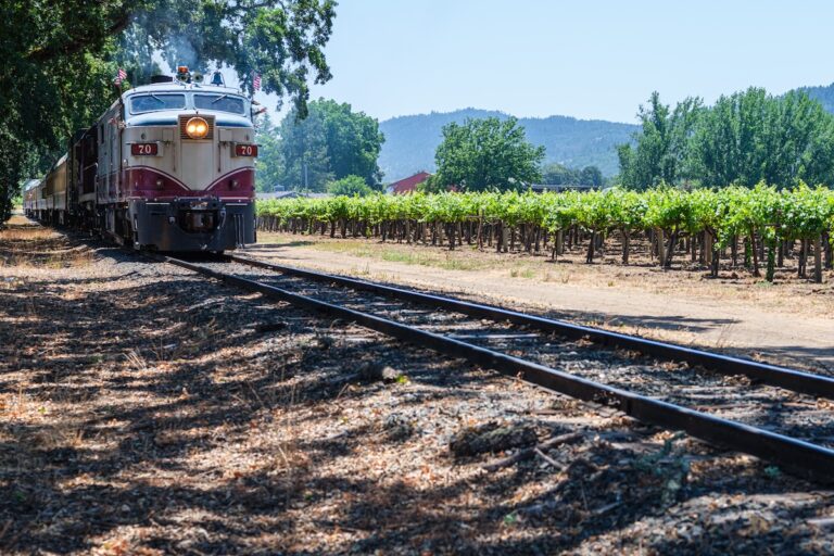 17 of the Most Scenic Train Rides Across America (+Photos) - Touropia