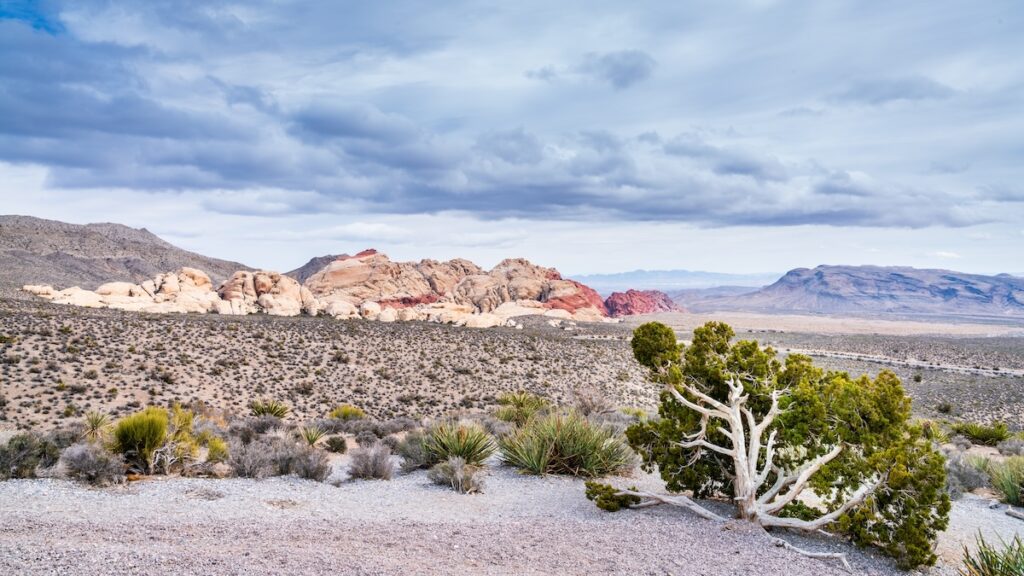Which US States are the Driest? (+Photos) - Touropia