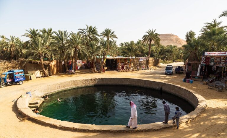 8 Most Beautiful Desert Oasis in the World (+Photos) - Touropia