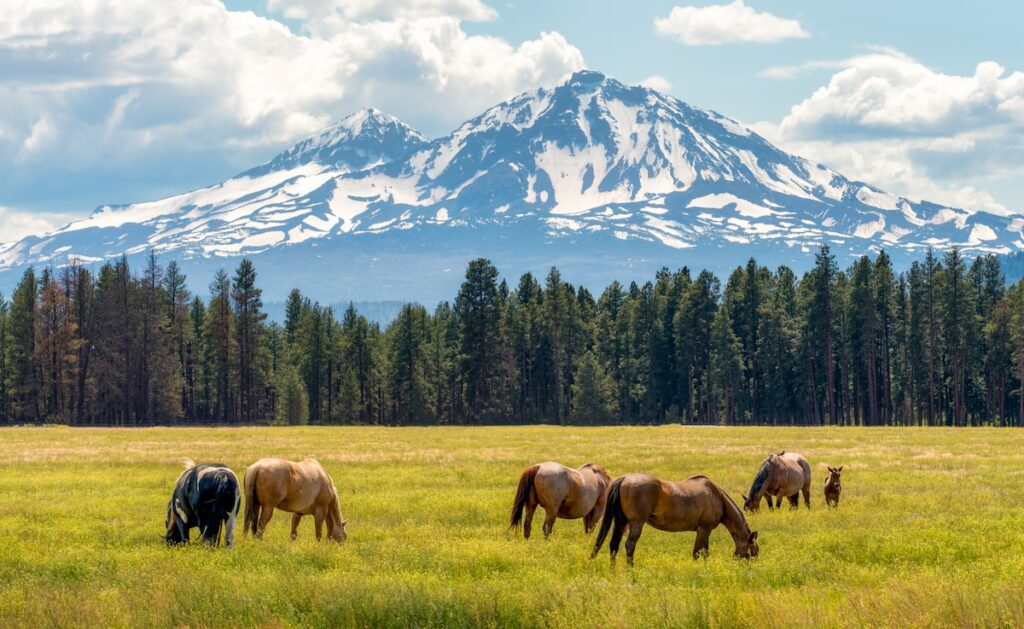 14 Most Mountainous States in America (+Photos) - Touropia