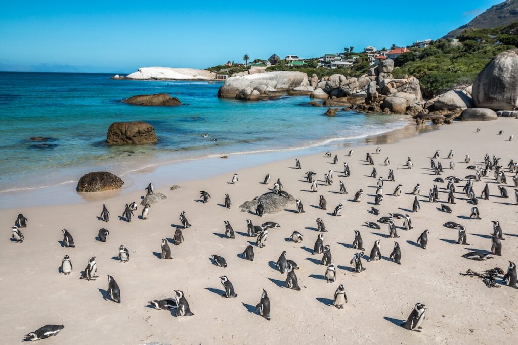 25 Of The Most Unusual Beaches Around The World (+Photos) - Touropia
