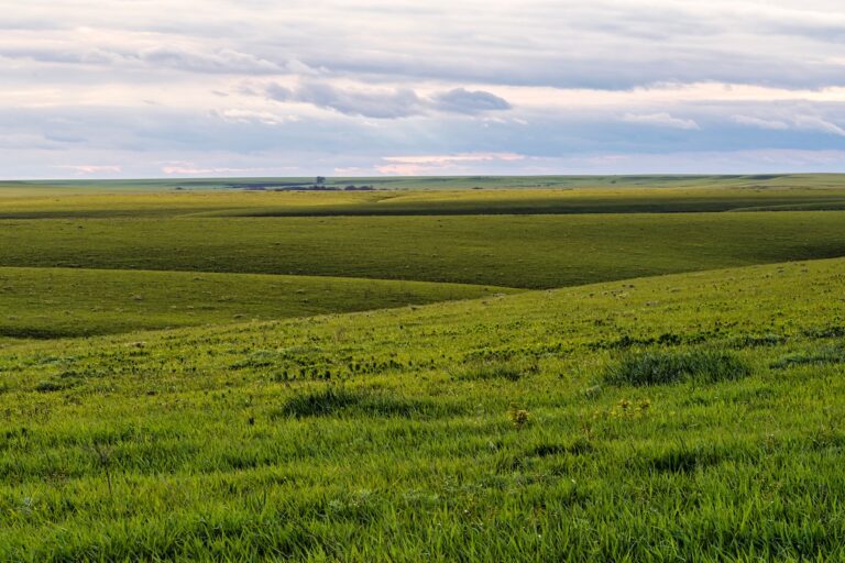 10 Flattest States in America (+Photos) - Touropia