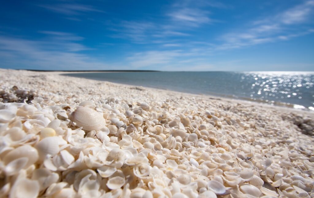 25 Of The Most Unusual Beaches Around The World (+Photos) - Touropia