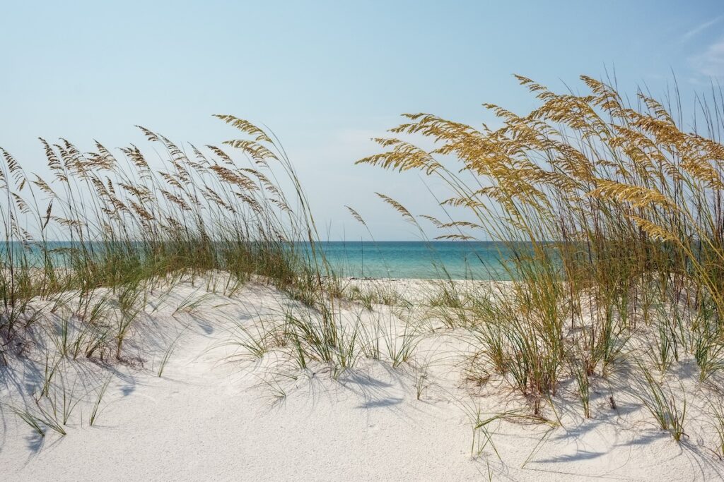 10 Most Beautiful National Seashores in the U.S (+Photos) - Touropia