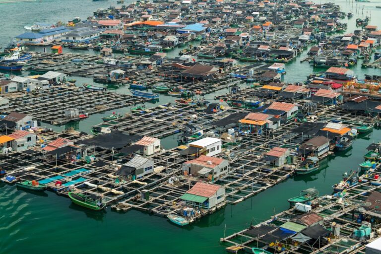 10 Amazing Floating Villages Across The World (+Photos) - Touropia