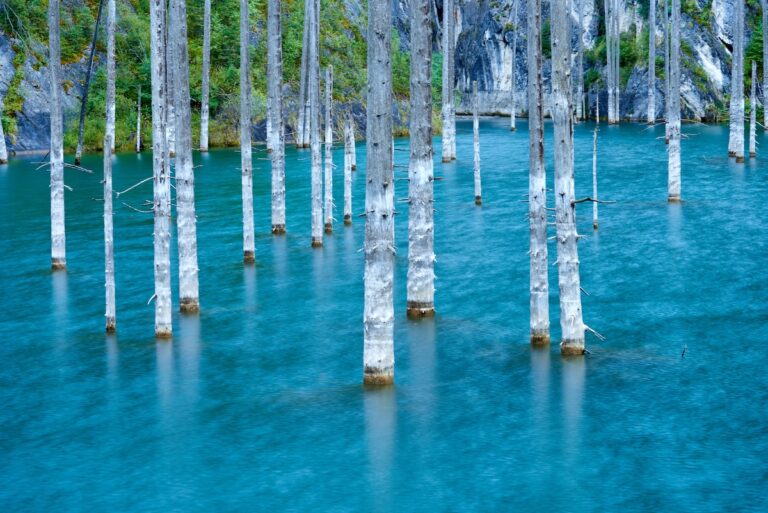 17 Mysterious Forests Straight Out of a Fantasy World (+Photos) - Touropia