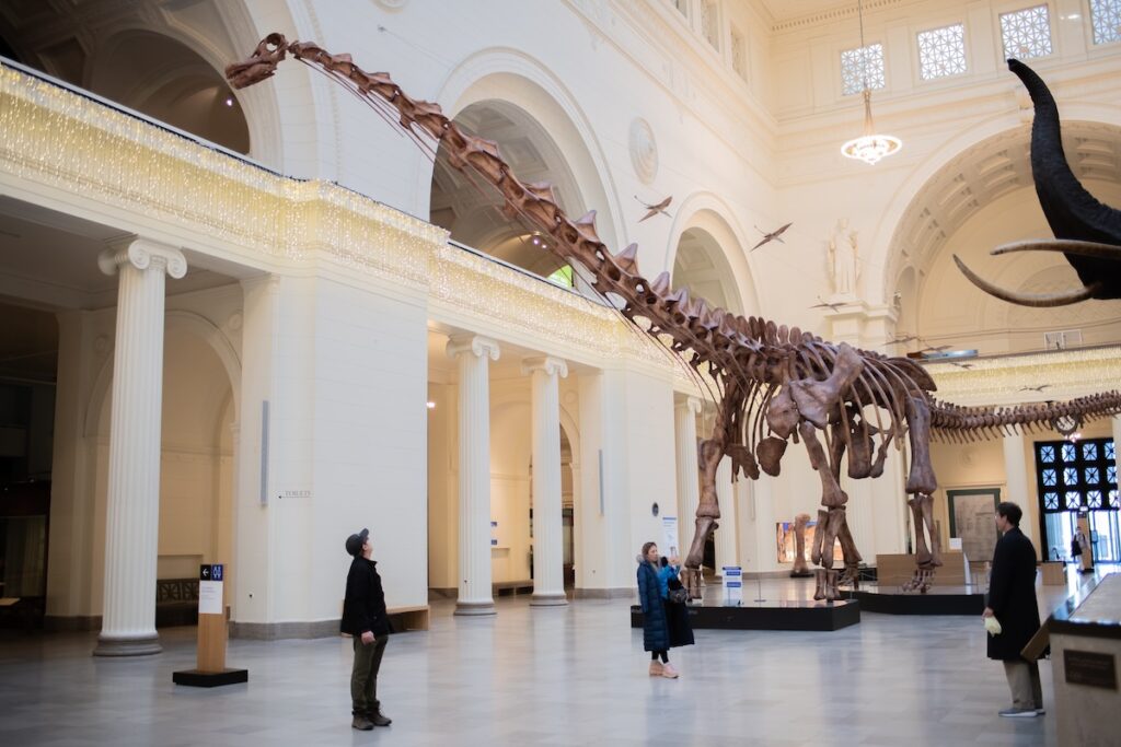 25 Most Visited Museums in the U.S. (+Photos) - Touropia